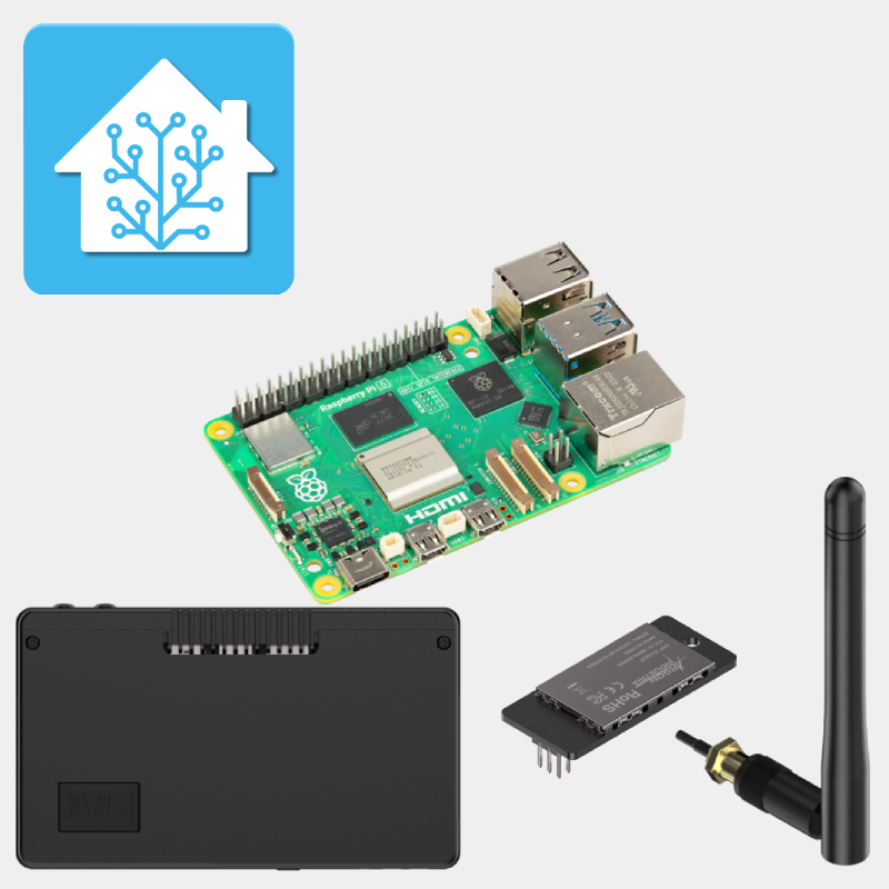 Kit domotique Home Assistant – Raspberry Pi 5 & Argon ONE V5 + ZigBee ...